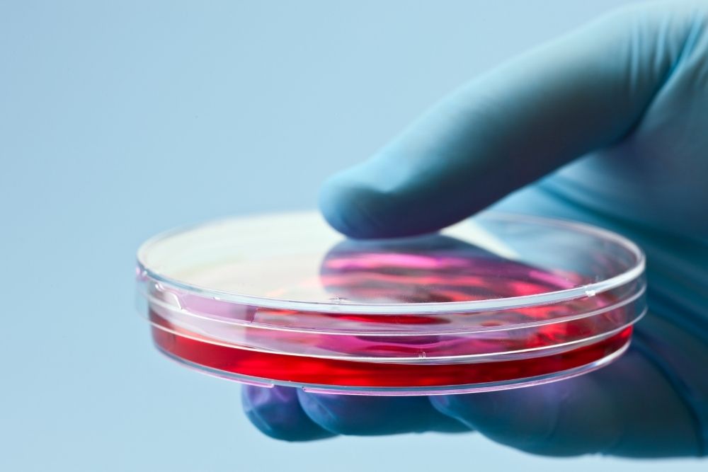 Treatments From Innate Healthcare | Innate Healthcare Institute